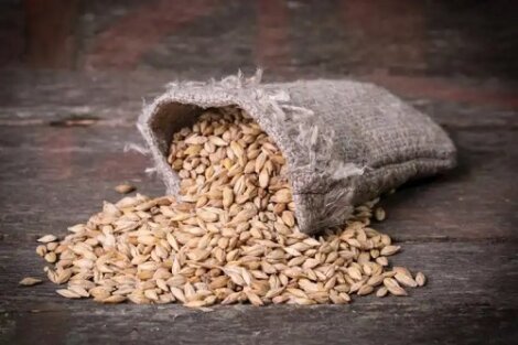 Cum se consumă orzul și ce beneficii are?